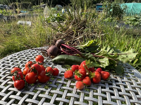 Allotments: Abavus Digital Management Solution